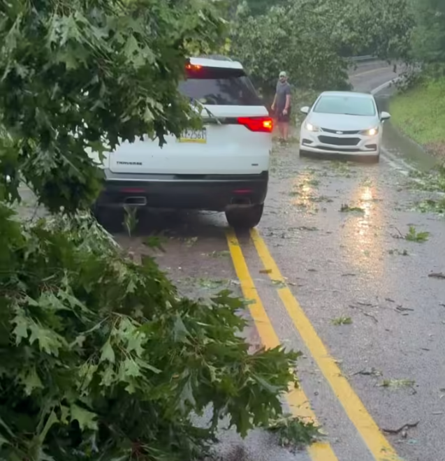 Storm sends trees crashing down around visitors at Ohiopyle State Park ...